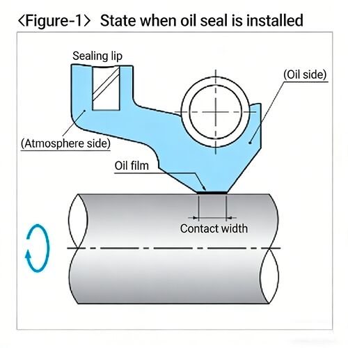 How much do you know about the seal principle of oil seals?