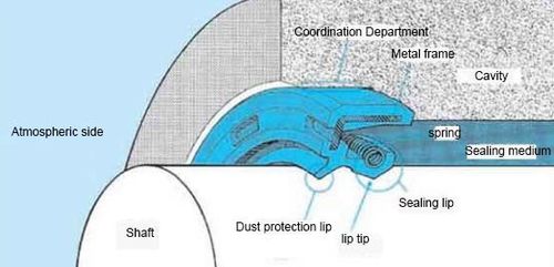 Knowledge of oil seals!