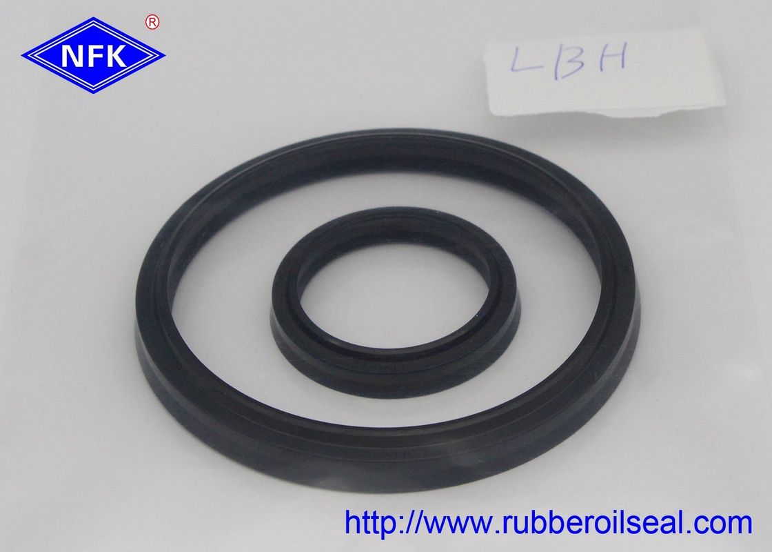 Cylinder Rod Rubber Dust Seal DSI LBI LBH VAY DH Different Type High ...
