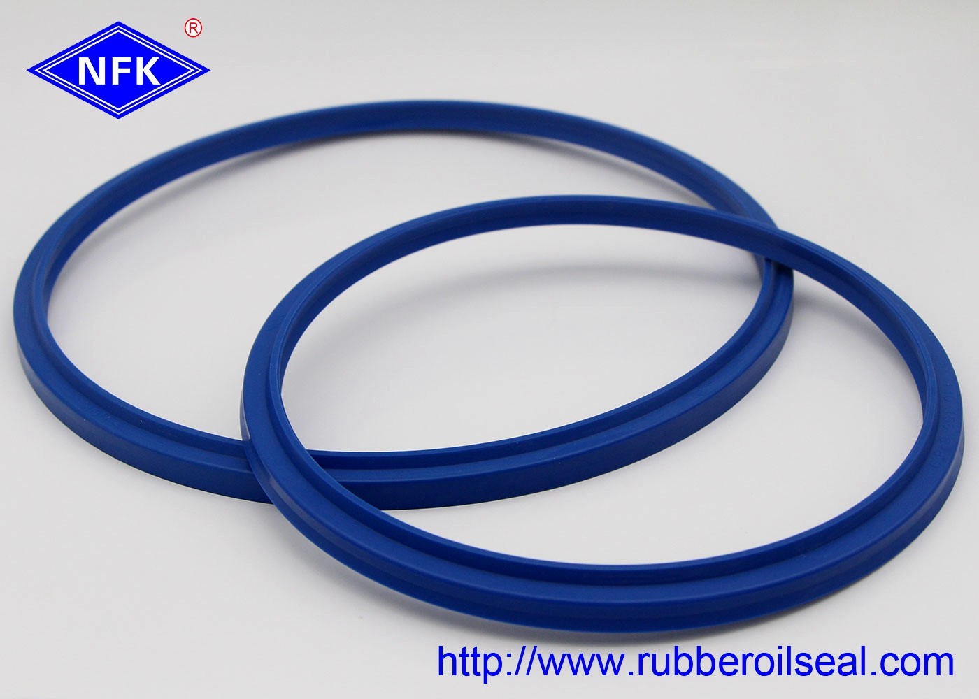 Cylinder Rod Rubber Dust Seal DSI LBI LBH VAY DH Different Type High ...